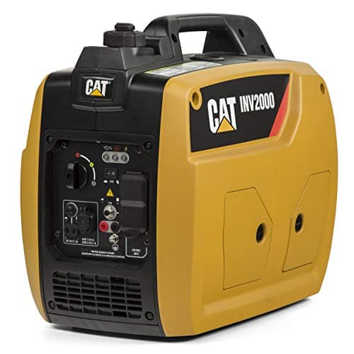 Is the Cat Generator a Must-Have for Every Cat Lover? - Generator ...